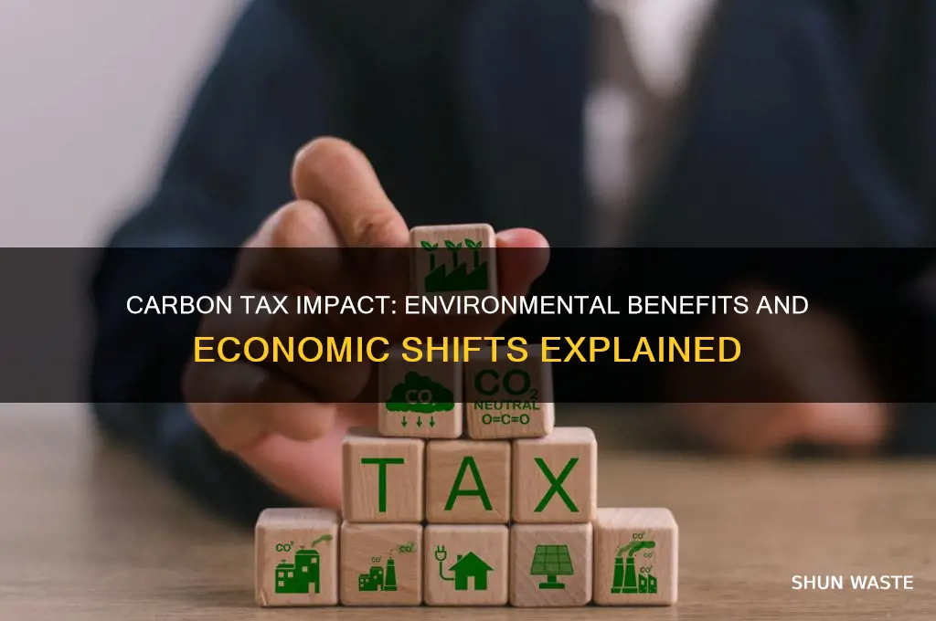 Carbon Tax Impact: Environmental Benefits And Economic Shifts Explained ...