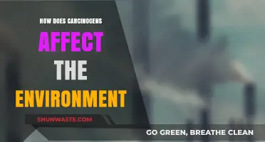 Carbon Dioxide's Impact: Human Health And Environmental Consequences ...