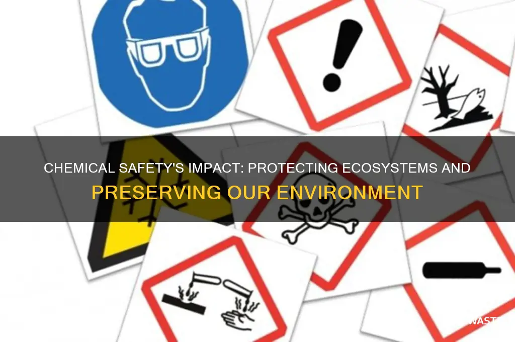 Chemical Safety's Impact: Protecting Ecosystems And Preserving Our ...