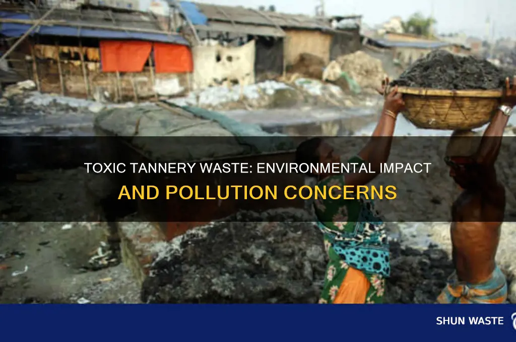 Toxic Tannery Waste: Environmental Impact And Pollution Concerns ...
