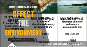 Chemistry's Impact: Understanding Environmental Effects And Sustainable ...