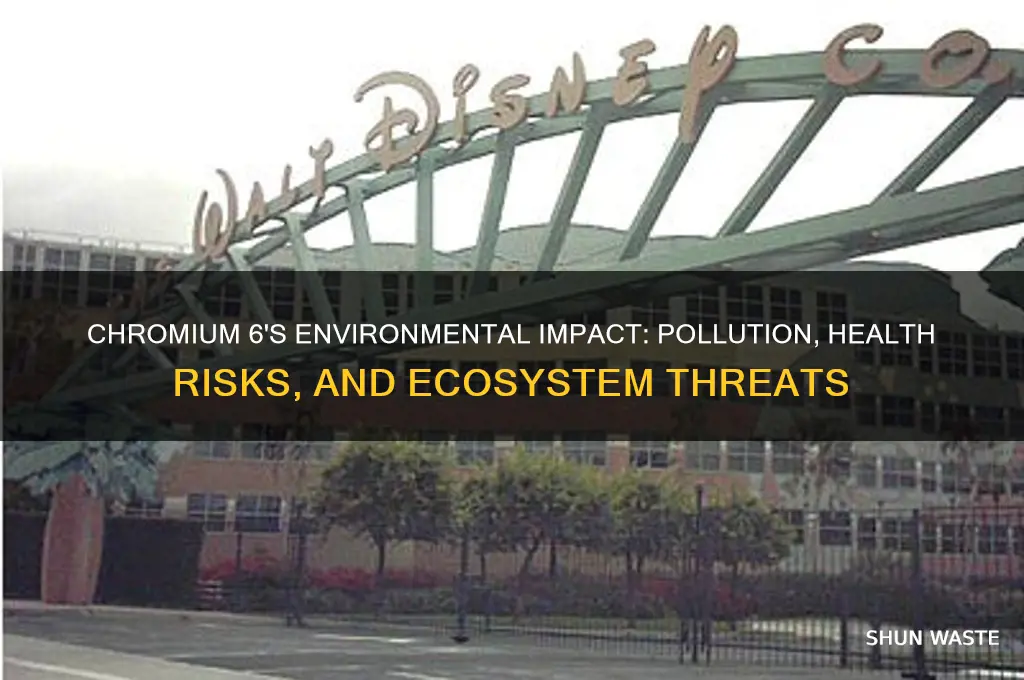 Chromium 6'S Environmental Impact: Pollution, Health Risks, And ...
