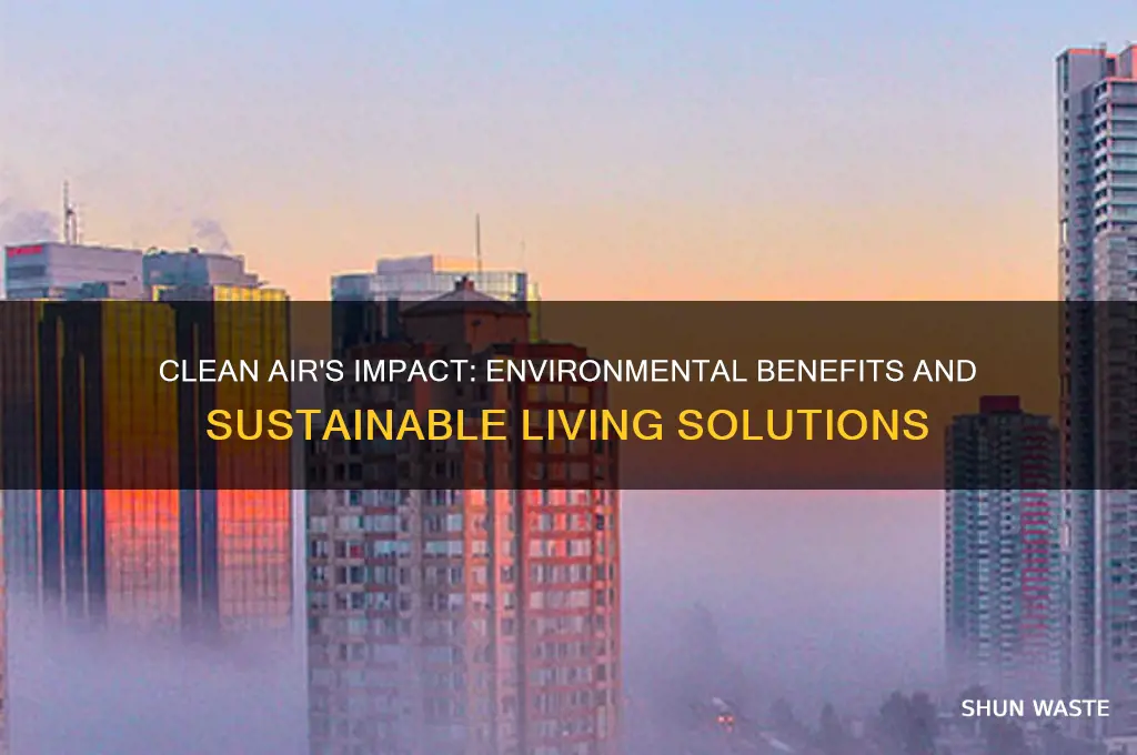 Clean Air's Impact: Environmental Benefits And Sustainable Living ...