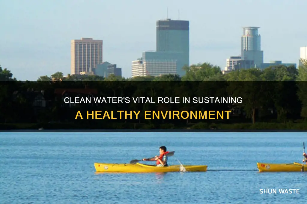 Clean Water's Vital Role In Sustaining A Healthy Environment | ShunWaste