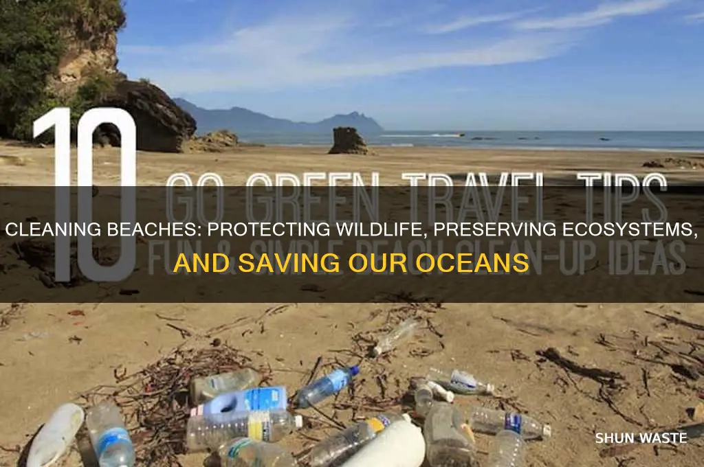 Cleaning Beaches: Protecting Wildlife, Preserving Ecosystems, And ...