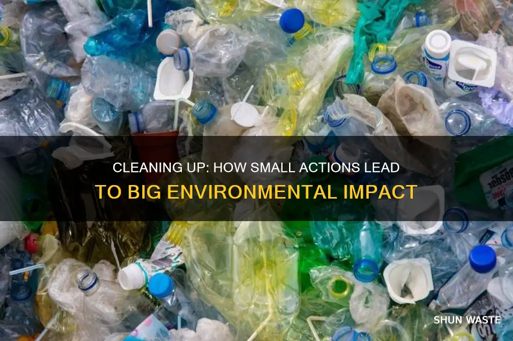 Cleaning Up: How Small Actions Lead To Big Environmental Impact | ShunWaste