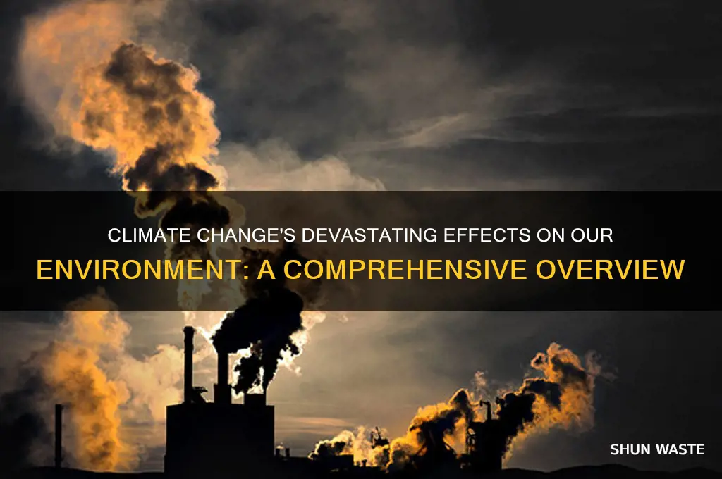 Climate Change's Devastating Effects On Our Environment: A ...