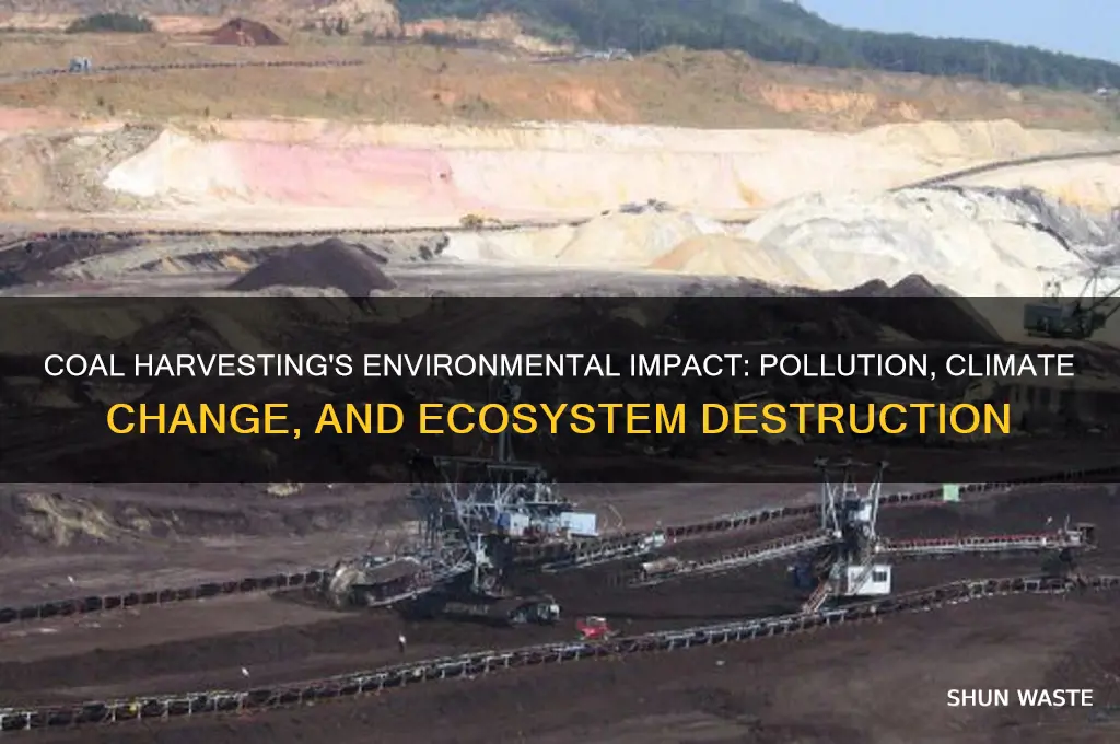 Coal Harvesting's Environmental Impact: Pollution, Climate Change, And ...