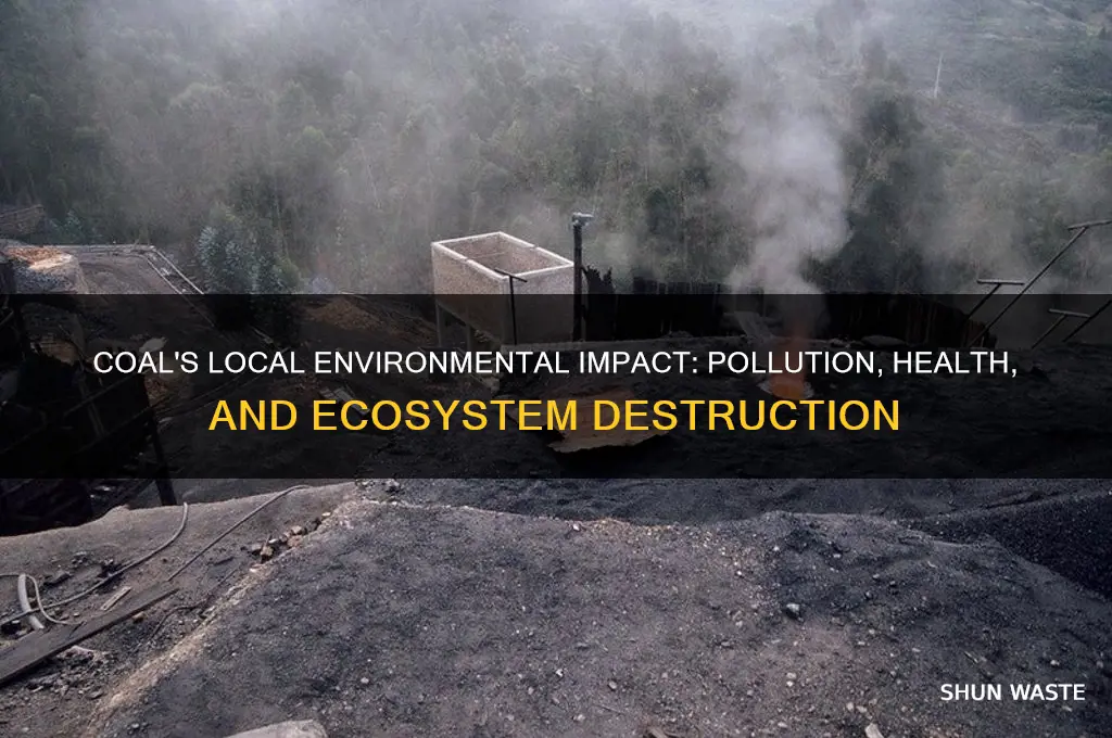 Coal's Local Environmental Impact: Pollution, Health, And Ecosystem ...