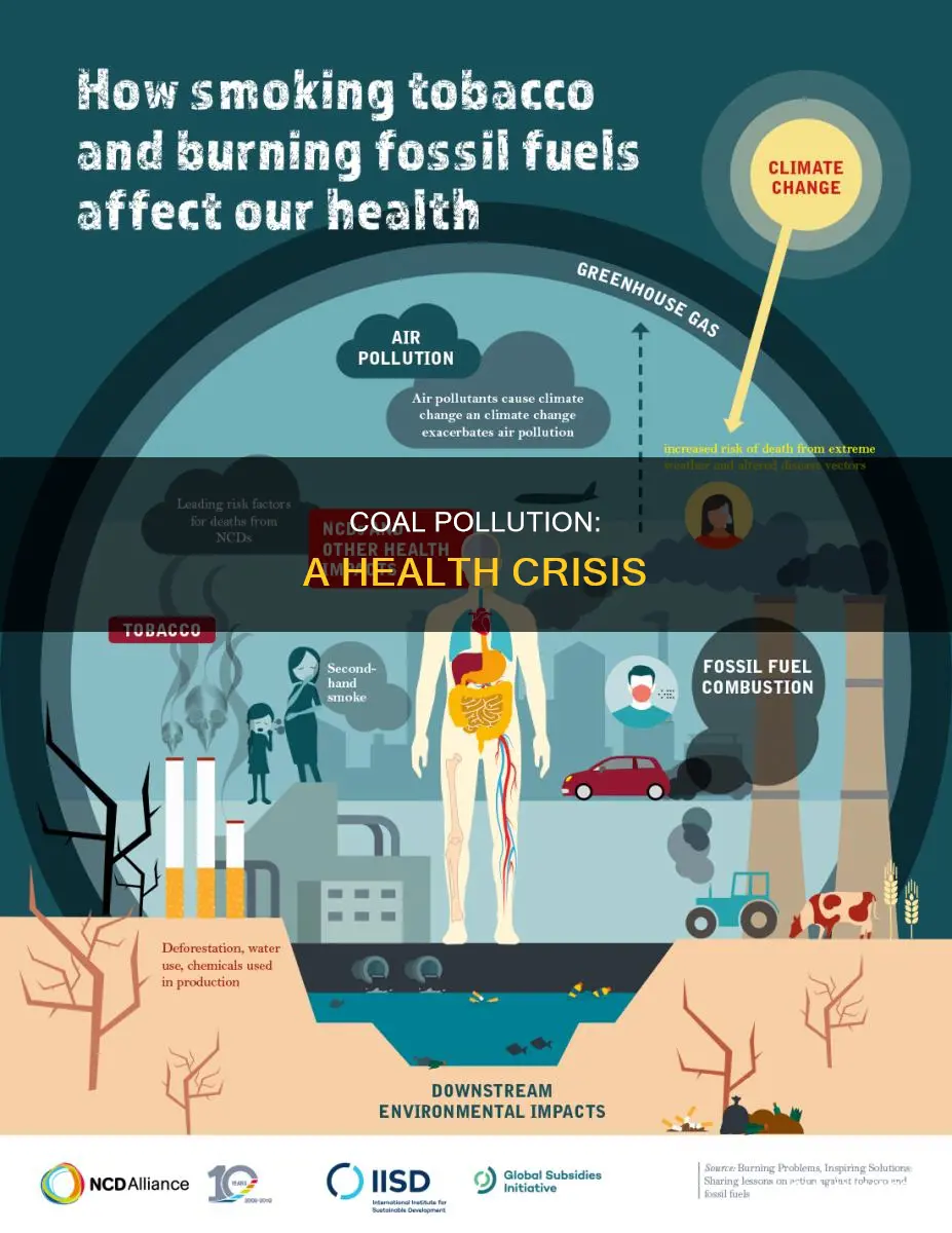 Coal Pollution: A Health Crisis | ShunWaste