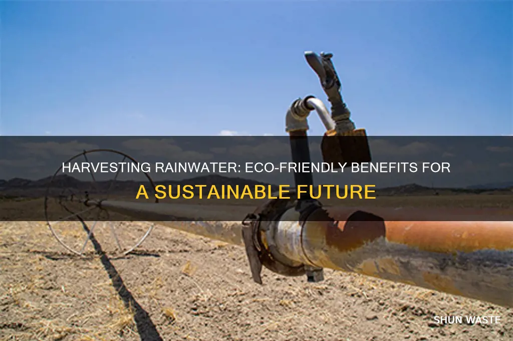 Harvesting Rainwater: Eco-Friendly Benefits For A Sustainable Future ...