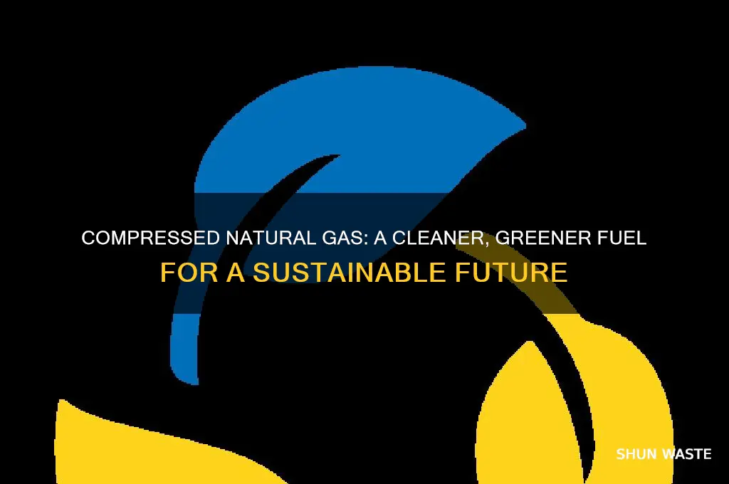 Compressed Natural Gas: A Cleaner, Greener Fuel For A Sustainable ...