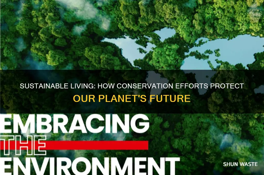 Sustainable Living: How Conservation Efforts Protect Our Planet's ...