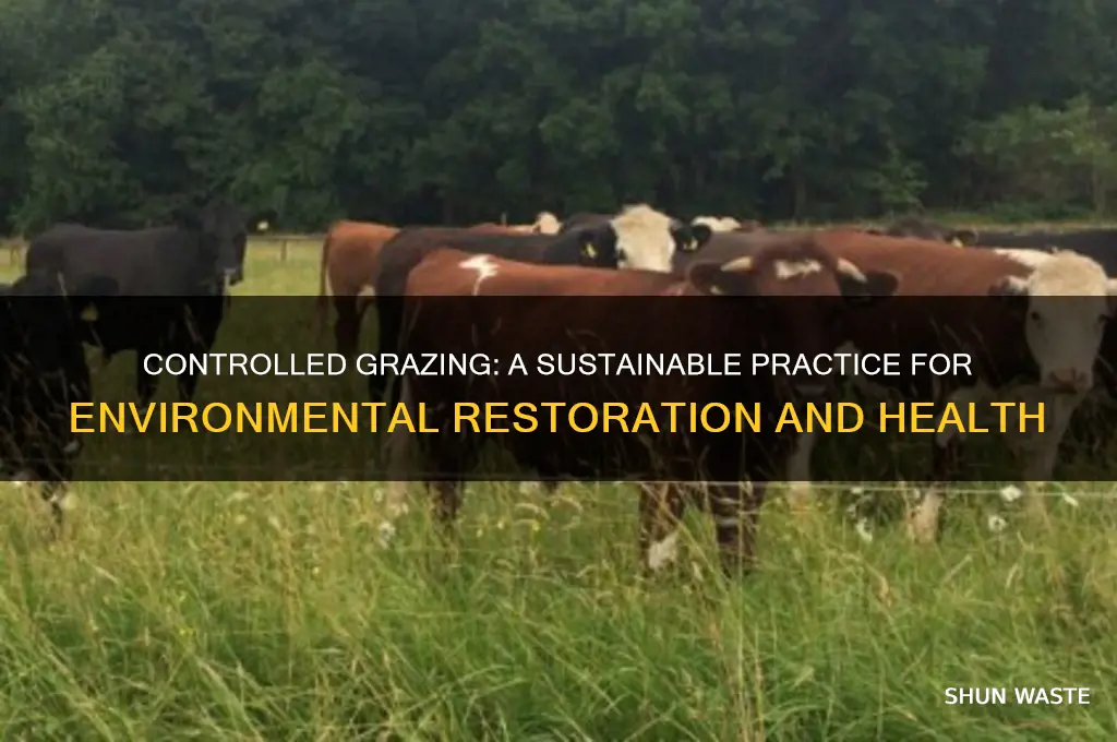 Controlled Grazing: A Sustainable Practice For Environmental ...