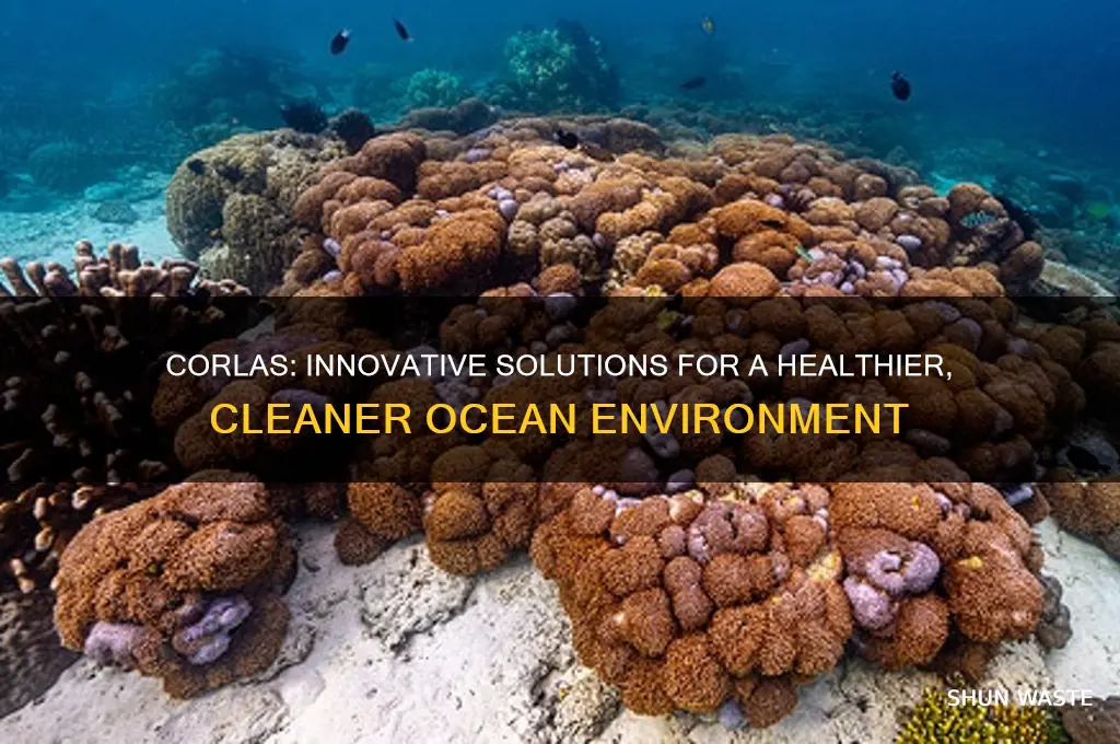 Corlas: Innovative Solutions For A Healthier, Cleaner Ocean Environment ...