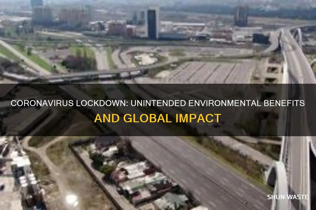 Coronavirus Lockdown: Unintended Environmental Benefits And Global ...