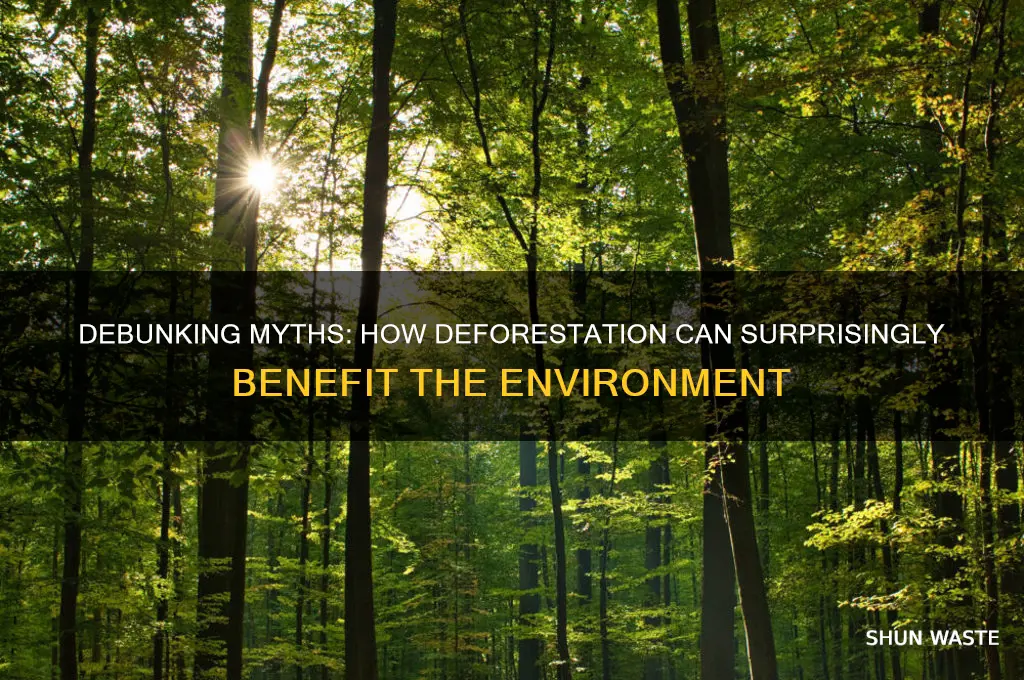 Debunking Myths: How Deforestation Can Surprisingly Benefit The ...