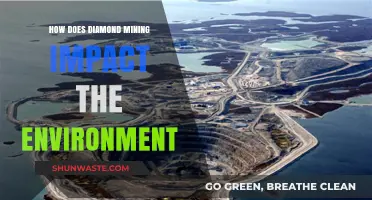 Deposition's Environmental Impact: Understanding Its Effects On ...