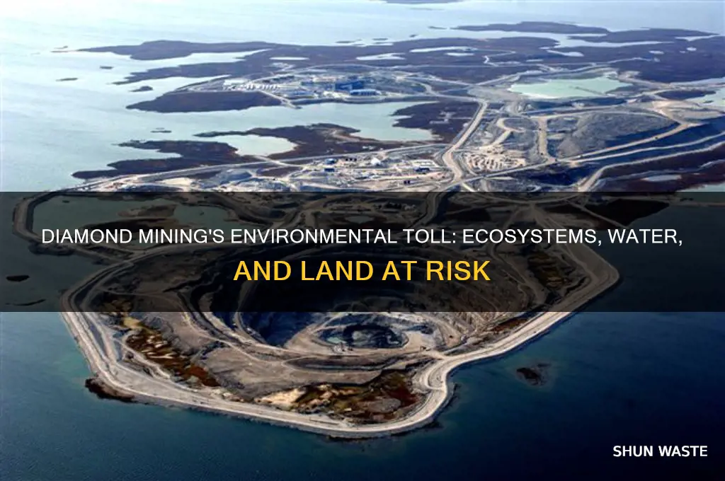 Diamond Mining's Environmental Toll: Ecosystems, Water, And Land At ...