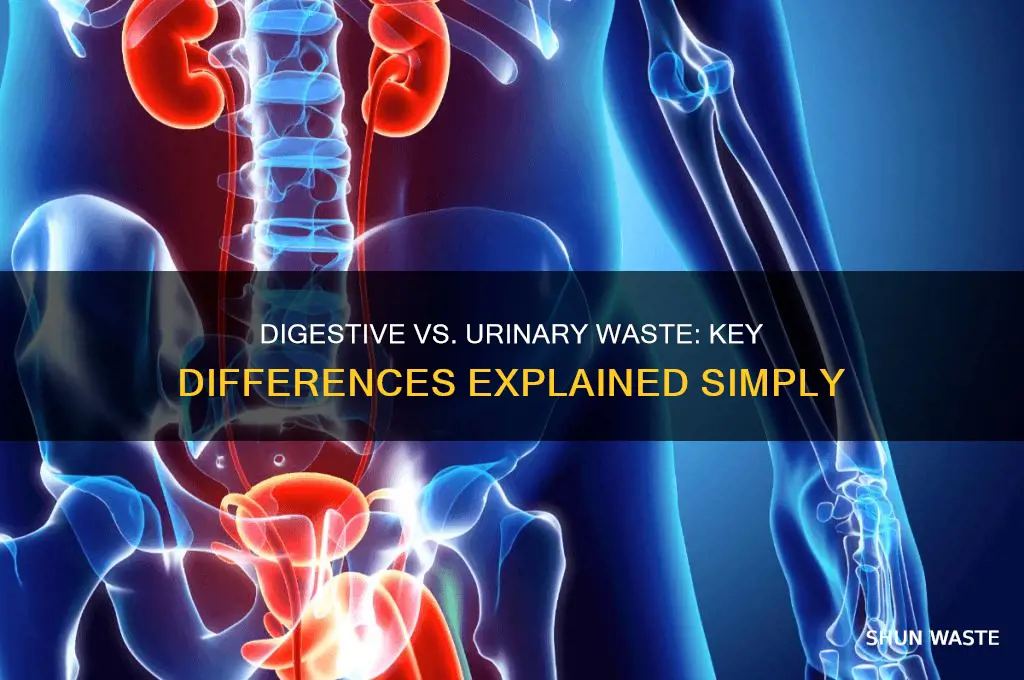 Digestive Vs. Urinary Waste: Key Differences Explained Simply | ShunWaste