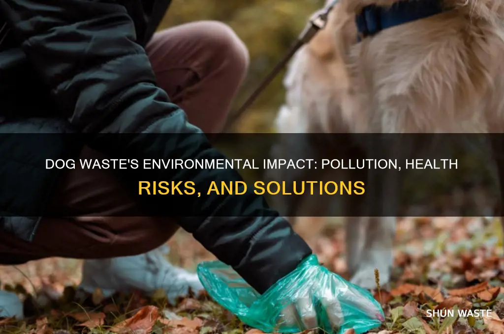 Dog Waste's Environmental Impact: Pollution, Health Risks, And ...