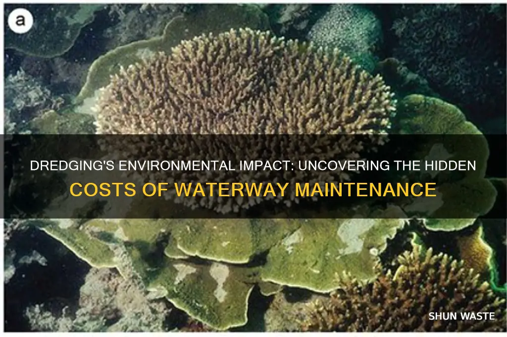 Dredging's Environmental Impact: Uncovering The Hidden Costs Of ...