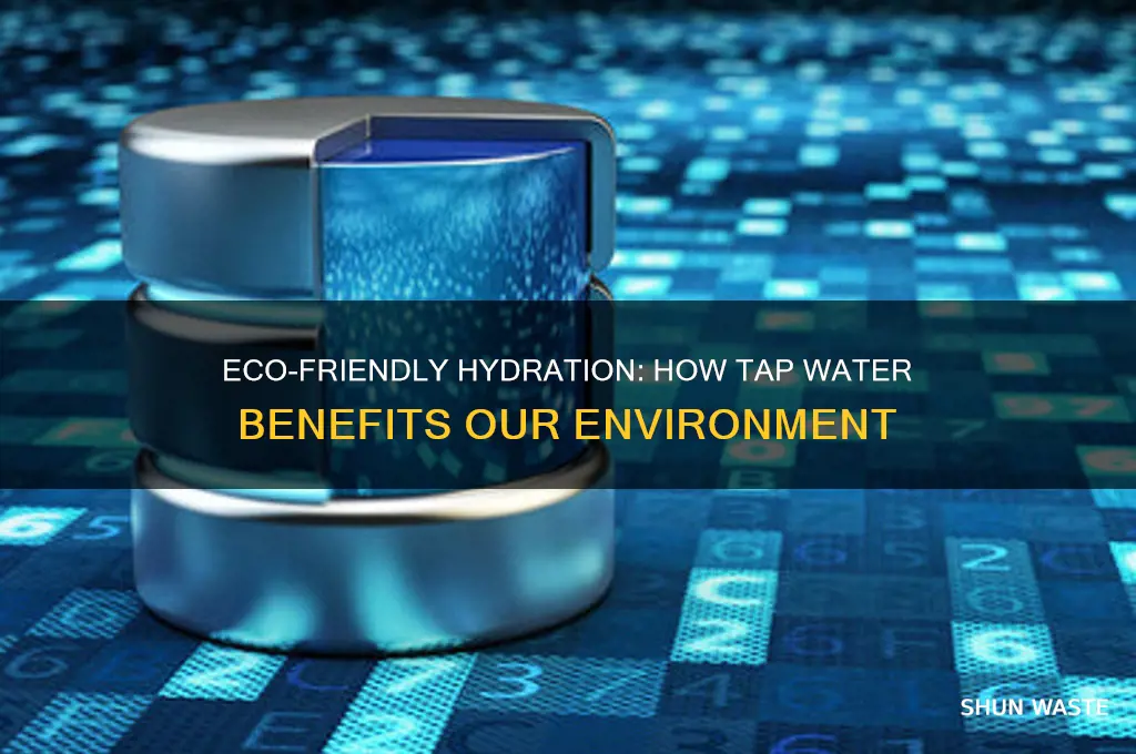 Eco-Friendly Hydration: How Tap Water Benefits Our Environment | ShunWaste
