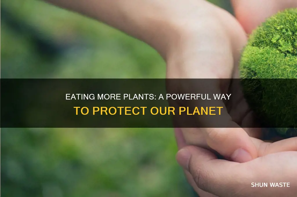 Eating More Plants: A Powerful Way To Protect Our Planet | ShunWaste
