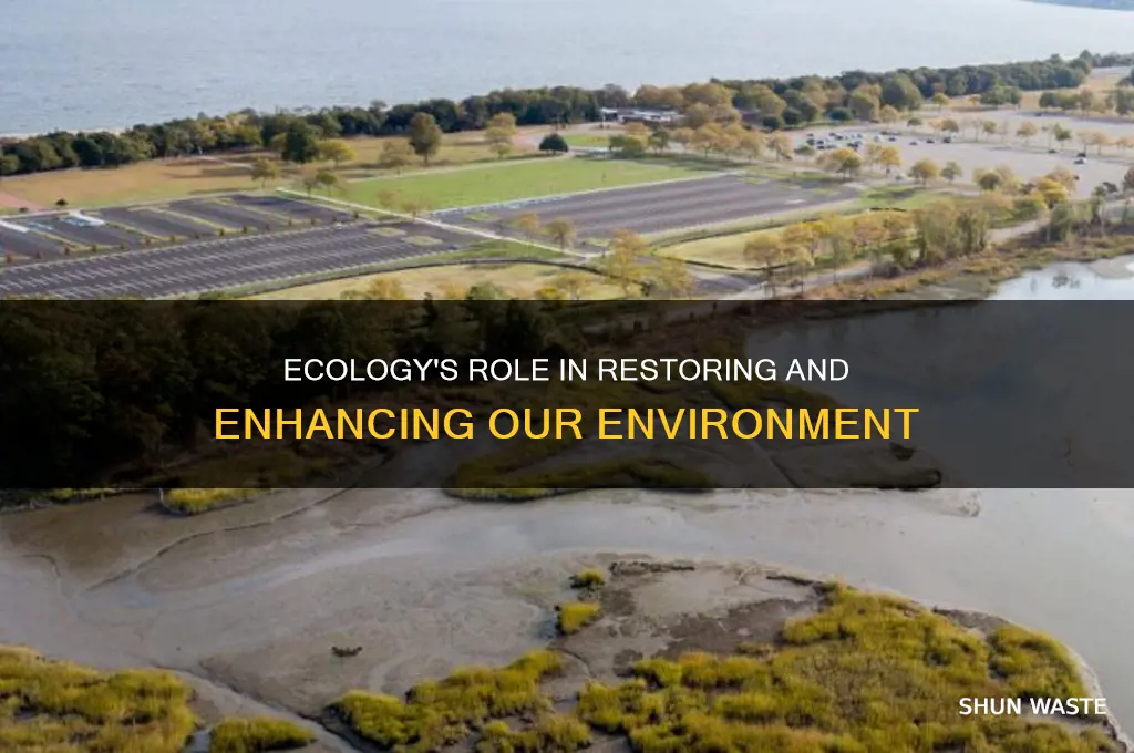 Ecology's Role In Restoring And Enhancing Our Environment | ShunWaste