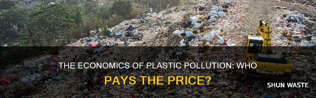 The Economics Of Plastic Pollution: Who Pays The Price? | ShunWaste