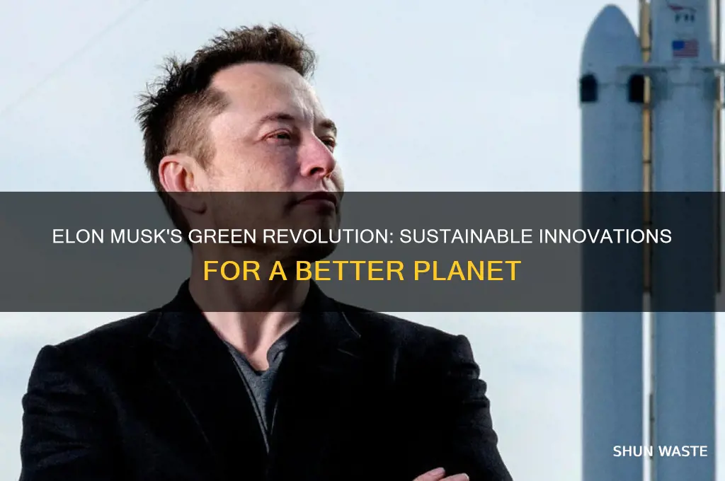 Elon Musk's Green Revolution: Sustainable Innovations For A Better ...