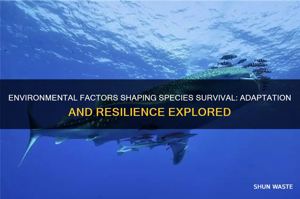 Environmental Factors Shaping Species Survival: Adaptation And ...