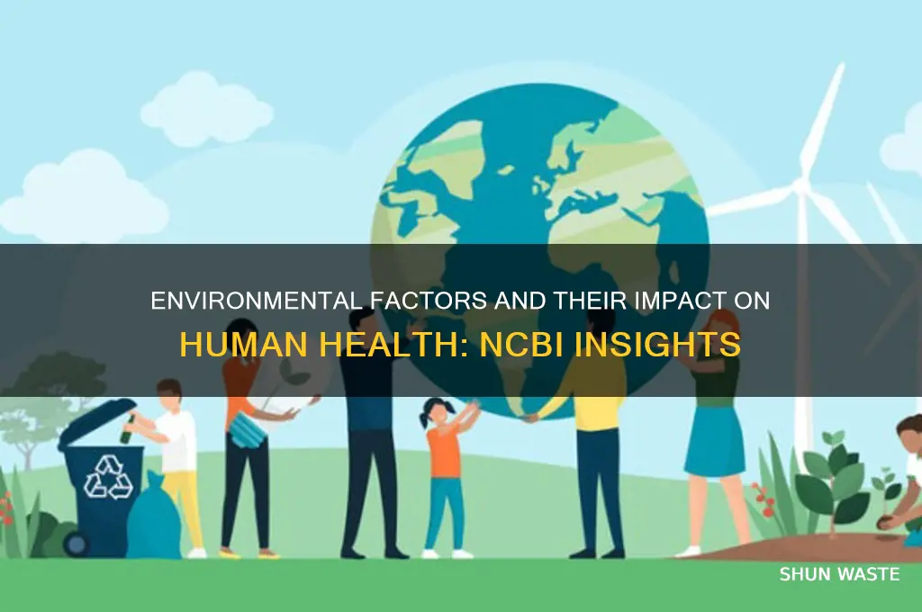 Environmental Factors And Their Impact On Human Health: Ncbi Insights ...
