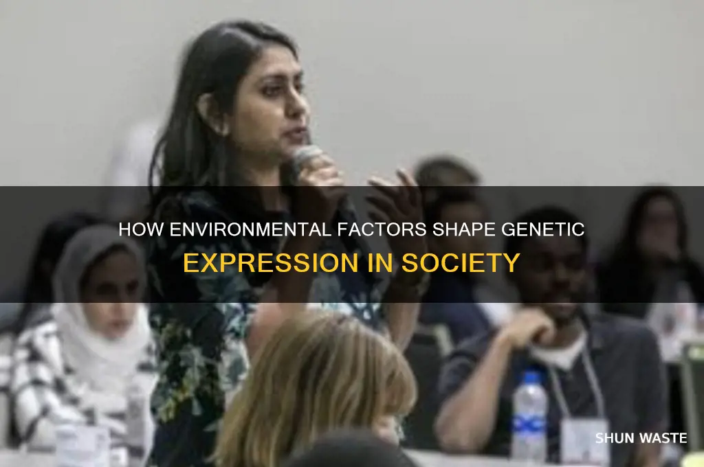 How Environmental Factors Shape Genetic Expression In Society | ShunWaste