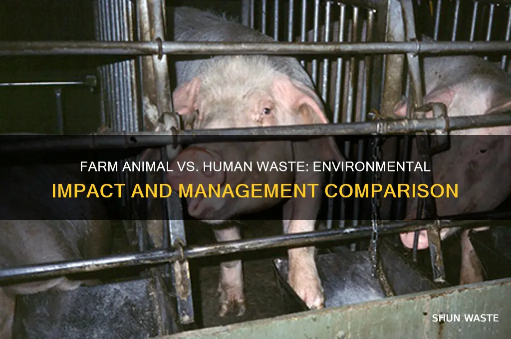 Farm Animal Vs. Human Waste: Environmental Impact And Management ...