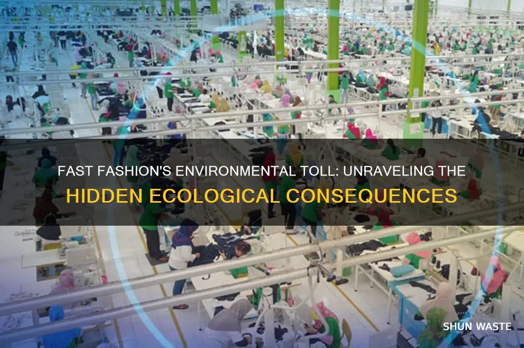 Fast Fashion's Environmental Toll: Unraveling The Hidden Ecological ...