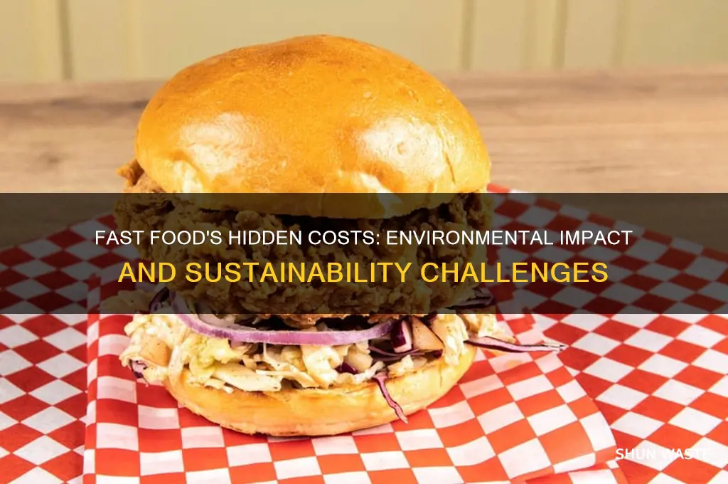 Fast Food's Hidden Costs: Environmental Impact And Sustainability ...