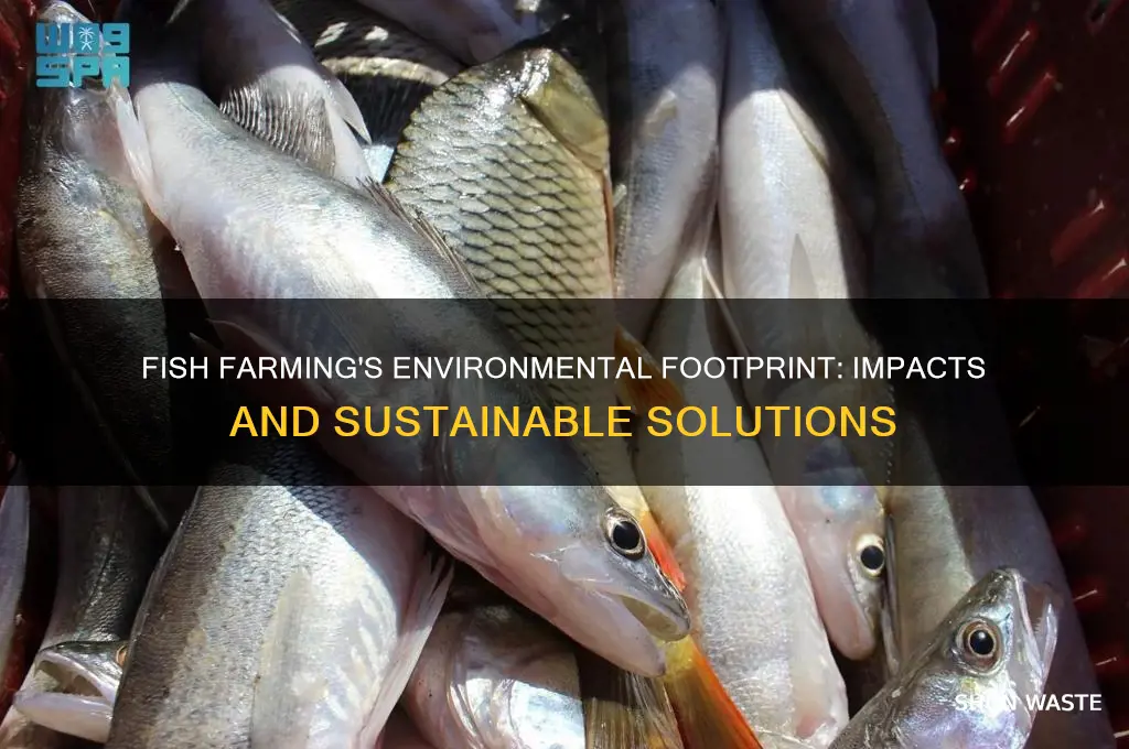 Fish Farming's Environmental Footprint: Impacts And Sustainable ...