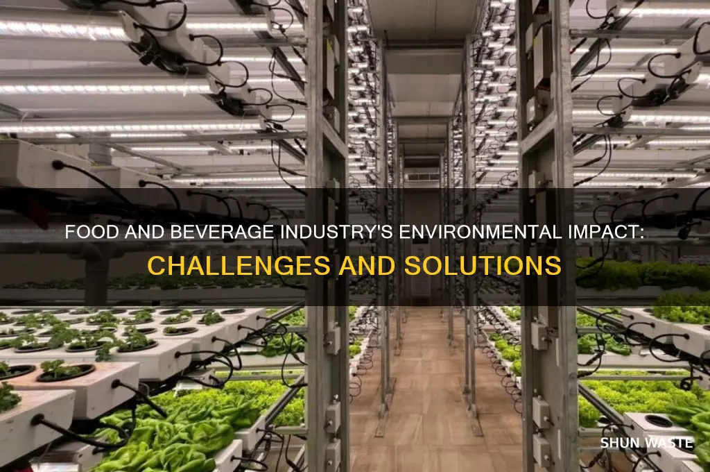 Food And Beverage Industry's Environmental Impact: Challenges And ...