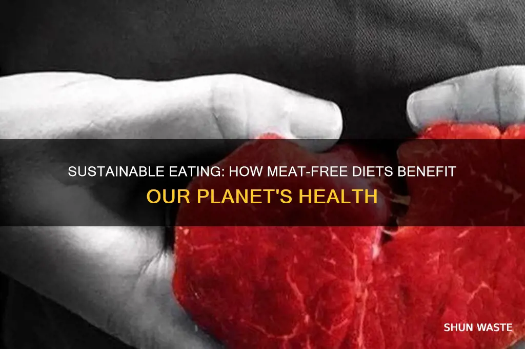 Sustainable Eating: How Meat-Free Diets Benefit Our Planet's Health ...