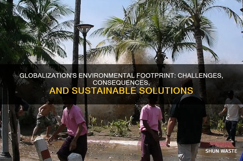 Globalization's Environmental Footprint: Challenges, Consequences, And ...