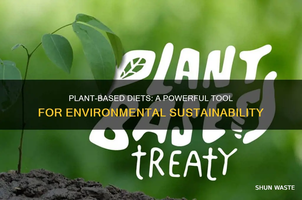 Plant-Based Diets: A Powerful Tool For Environmental Sustainability ...