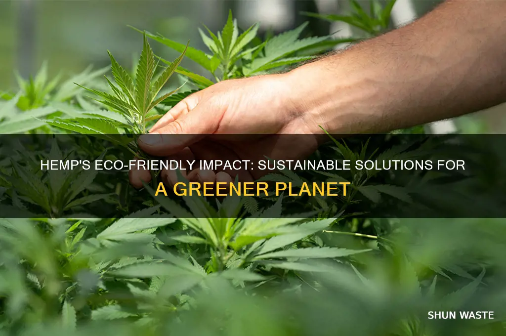 Hemp's Eco-Friendly Impact: Sustainable Solutions For A Greener Planet ...