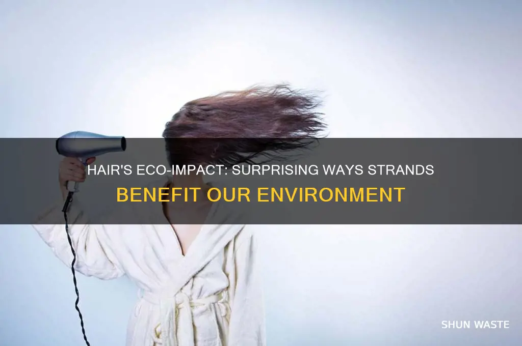 Hair's Eco-Impact: Surprising Ways Strands Benefit Our Environment ...