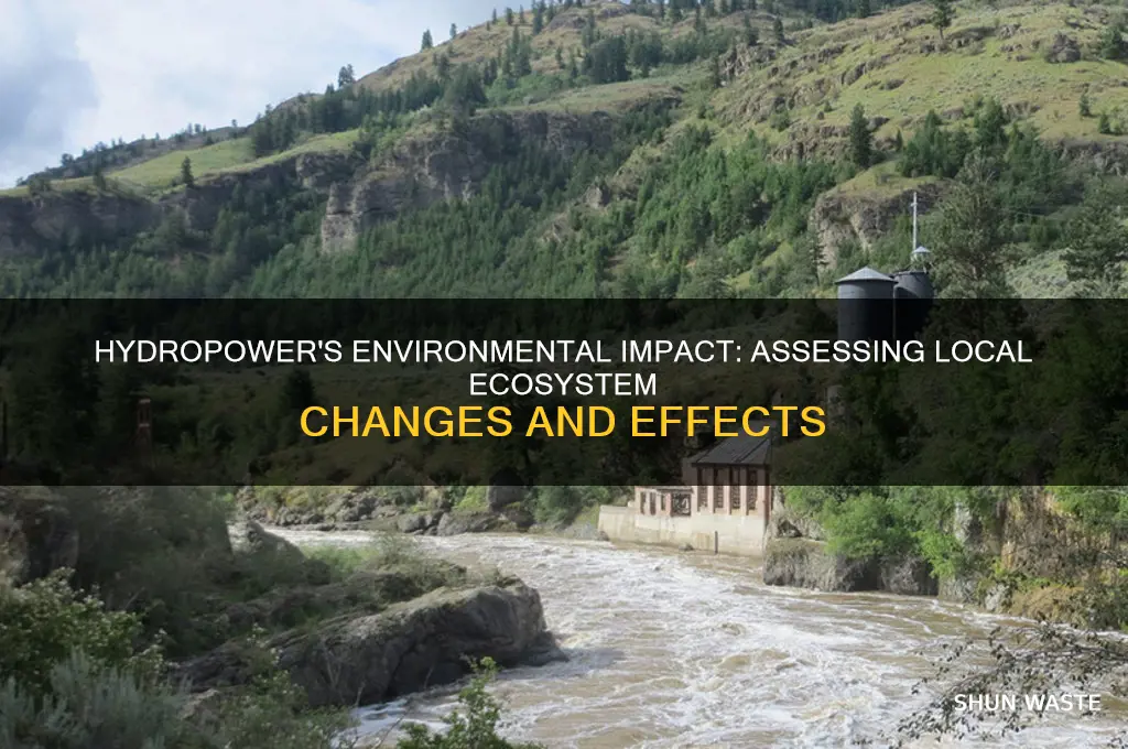 Hydropower's Environmental Impact: Assessing Local Ecosystem Changes ...