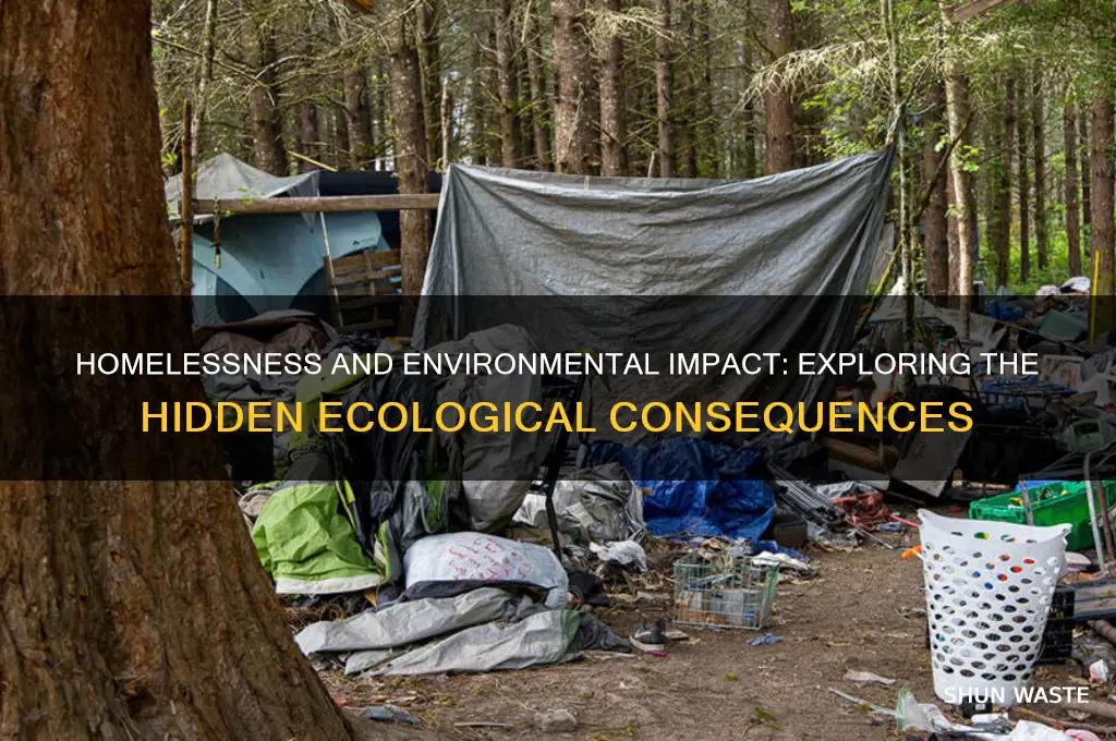 Homelessness And Environmental Impact: Exploring The Hidden Ecological ...