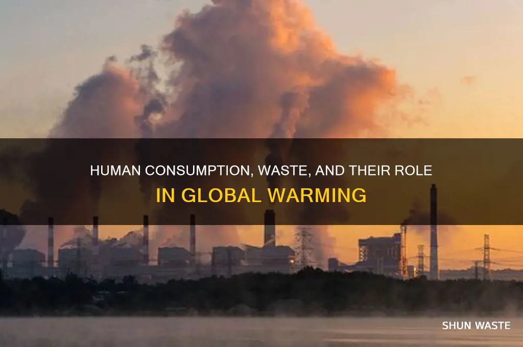 Human Consumption, Waste, And Their Role In Global Warming | ShunWaste