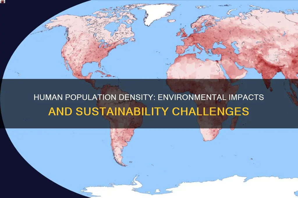 Human Population Density: Environmental Impacts And Sustainability ...