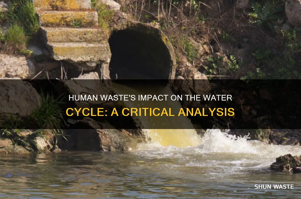 Human Waste's Impact On The Water Cycle: A Critical Analysis | ShunWaste