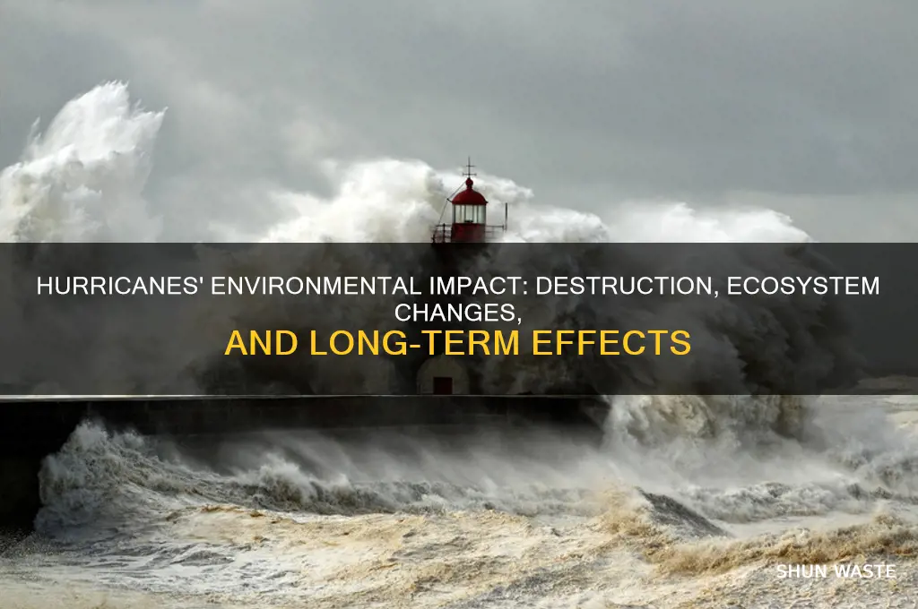 Hurricanes' Environmental Impact: Destruction, Ecosystem Changes, And ...